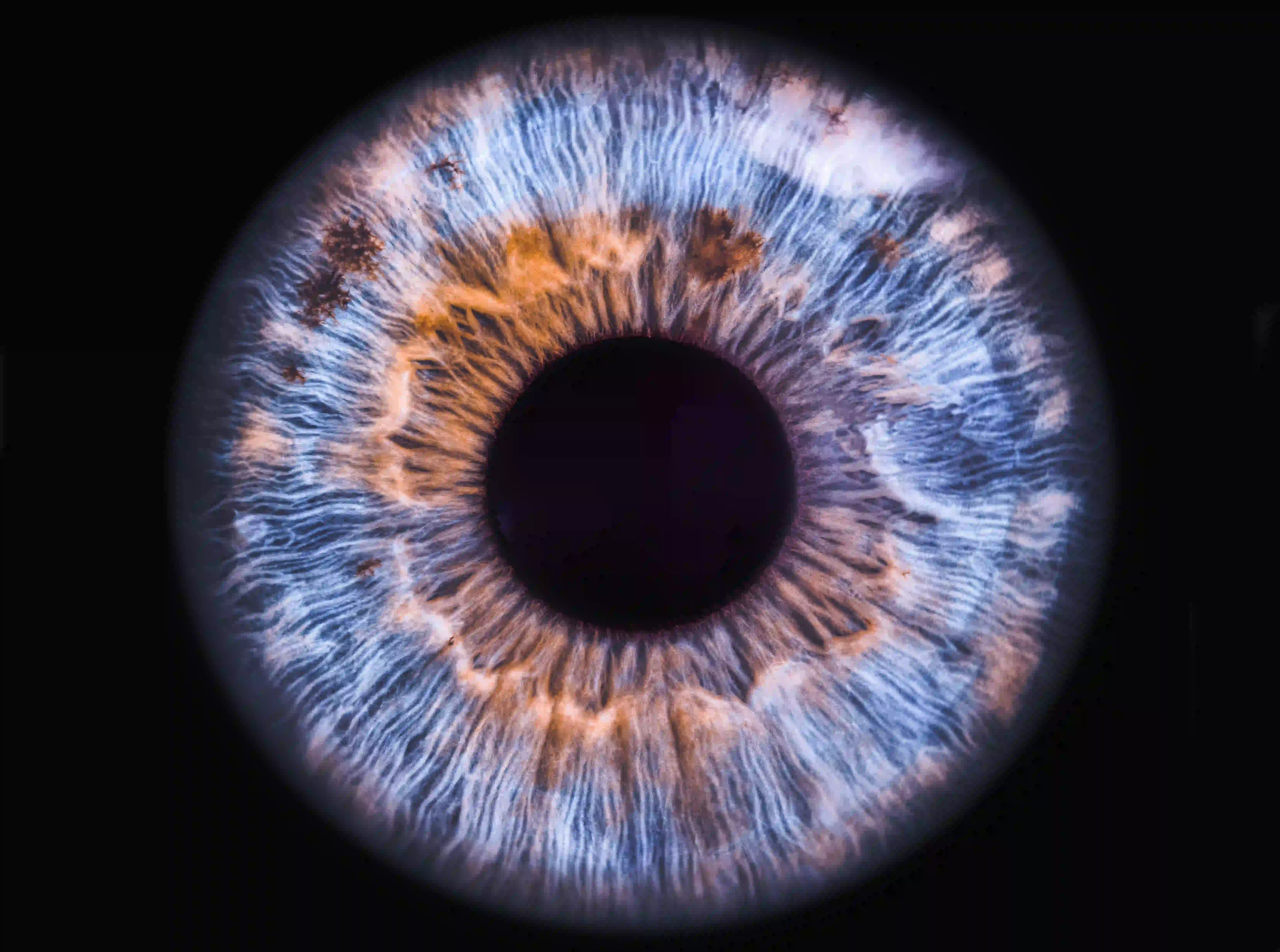 Craveless | 30 Tage testen